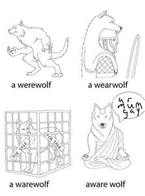 Ur Mom Gay Aware Wolf Know Your Meme