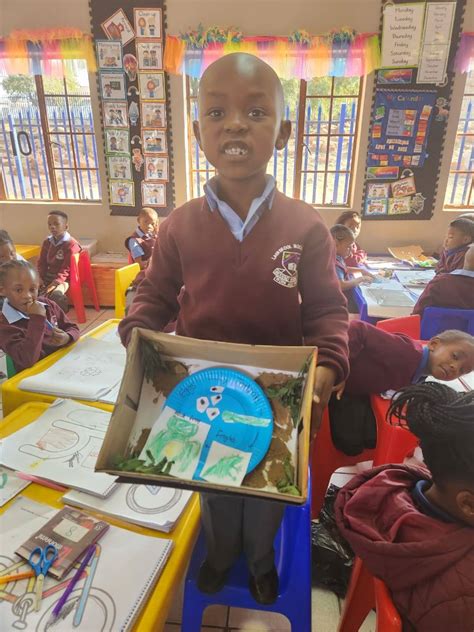 Laerskool Modderfontein Laerskool Modderfontein Primary