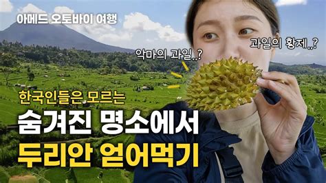 🌾우연히 발견한 발리 최고의 논 뷰 맛집 아메드 셀프 스노클링 🇮🇩발리 아메드 오토바이 여행 2 Youtube