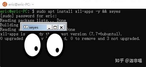 win10 WSL 安装VcXsrv Windows X Server 知乎