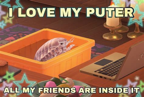 They Love They Puter I Love My Puter I Hate My Puter Know