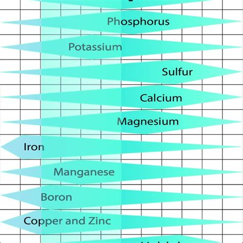 Pdf A Review On Hydroponics And The Technologies Associated For