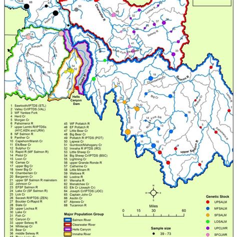 Genetic Stocks And Baseline Collections Used For Chinook Salmon Mixed