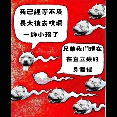 翻譯 蛤這⋯ 梗圖板 Dcard