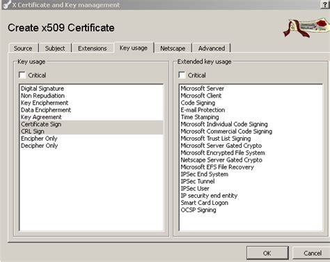 Using Xca To Configure The Openvpn Pki Part As An Alternative To Openvpn S Easy Rsa