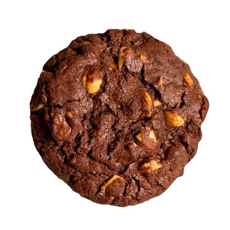 قیمت و خرید کوکی پروتئین گیاهی دابل چاکلت با جو دوسر و فندق نیواگ 100 گرم