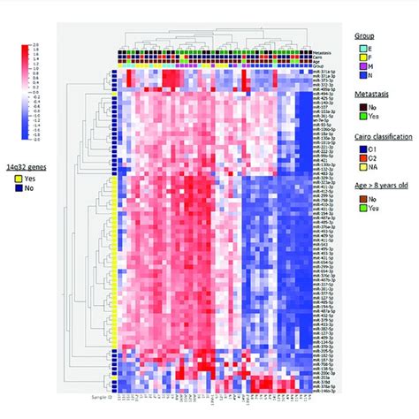 Heatmap And Hierarchical Clustering The Results Of Hierarchical Download Scientific Diagram