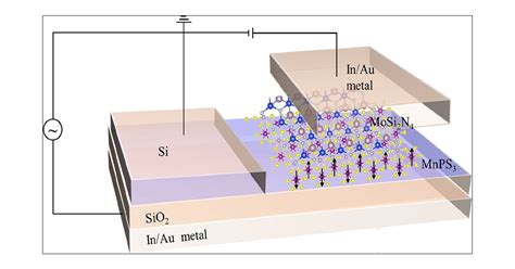 Valleytronics Candidate With Spontaneous Valley Polarization In A Type