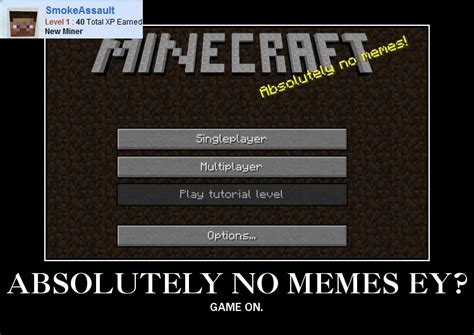 Minecraft Is A Place For Absolutely No Memes Splash Text