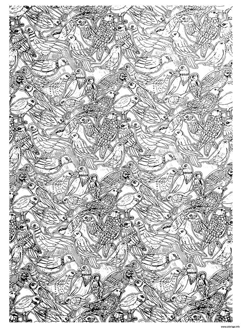 Coloriage Adulte Oiseaux JeColorie