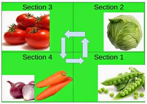 Crop Rotation You Must Know About This Aquaponics Build