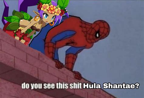 Best R Shantae Images On Pholder Pirate Shantae By N Sakurajyousui