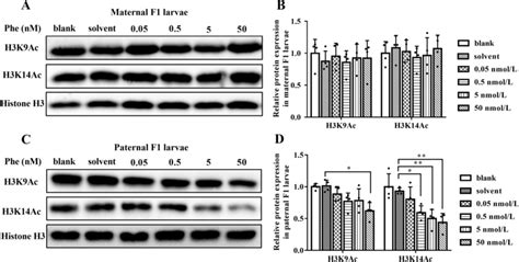 Embryonic Exposure To Phenanthrene Phe For 96 H Regulated The Protein
