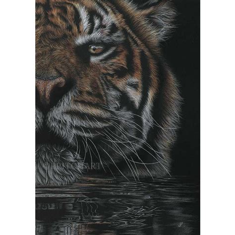 Treading Water Shop Pritch Art