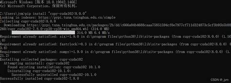 解决win10安装cupy包报错 Jym蒟蒻 博客园
