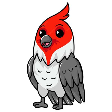 Premium Vector Cute Red Crested Cardinal Bird Cartoon