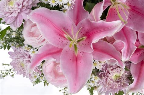 Cubo Flor Rosa Foto Premium