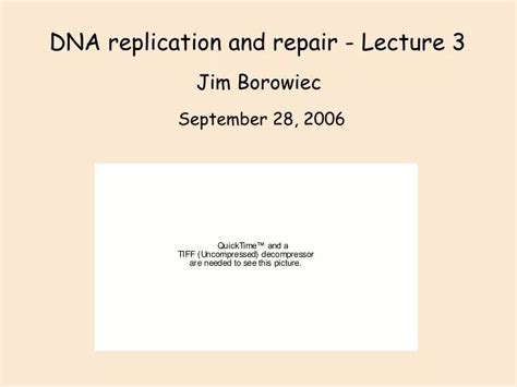 PPT DNA Replication And Repair Lecture PowerPoint Presentation Free Download ID