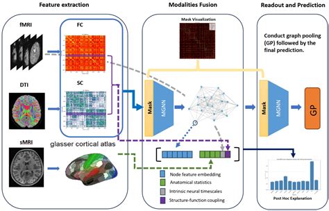논문 리뷰 Integrated Brain Connectivity Analysis With Fmri Dti And Smri Powered By Interpretable