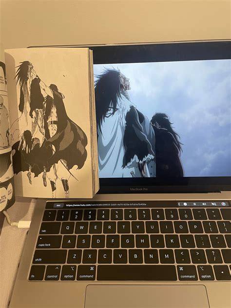Perfection. : r/bleach