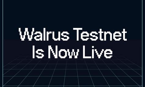 Decentralized Storage Protocol Walrus Launches Public Testnet Blockonomi