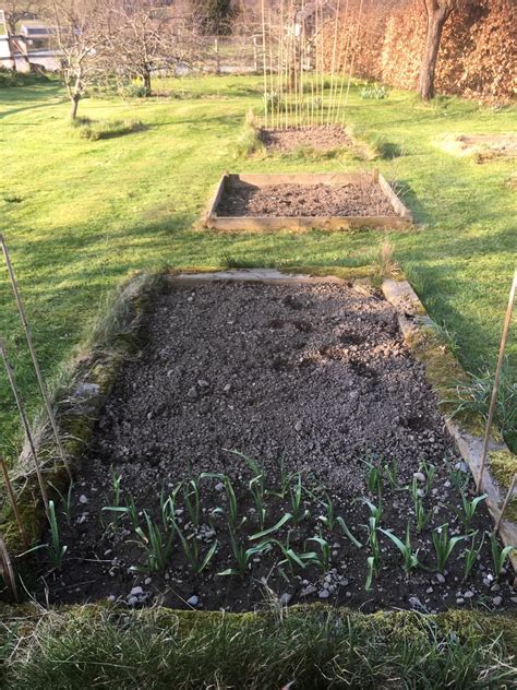 Escape To Wales Veggie Beds Looking Good Grass Cut