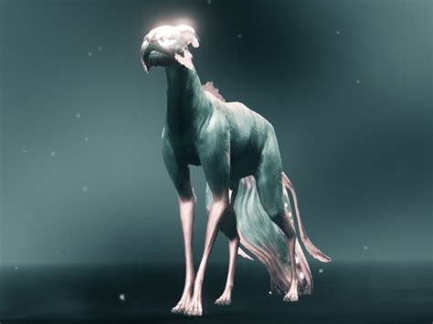 Smeeta Kavat Ears Players Helping Players Warframe Forums