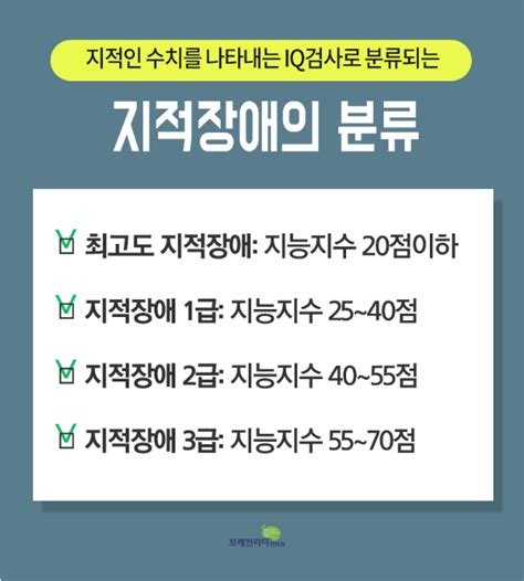 지적장애원인 별 치료 3급 등급 판정 기준 네이버 블로그