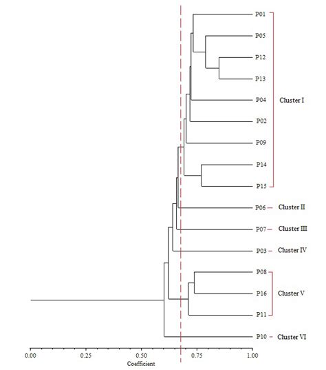 Upgma Dendrogram Based On Rapd Analysis Of Parkia Biglobosa Accessions
