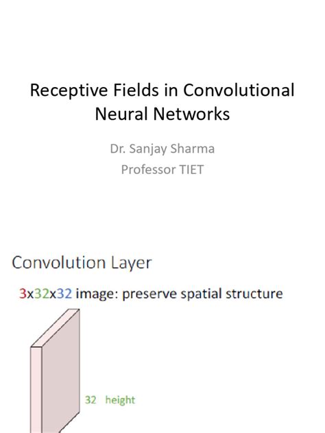 Receptive Fields In Convolutional Neural Networks Pdf