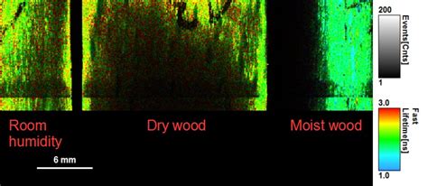 Fluorescence Lifetime Imaging Flim Picoquant