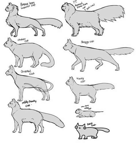 Pin By Forest Rat On Inspirations Art I Like Cat Drawing Cat Drawing