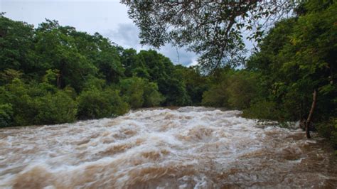 Travel Alert From Gujarat To Andhra Places Facing Flood Like