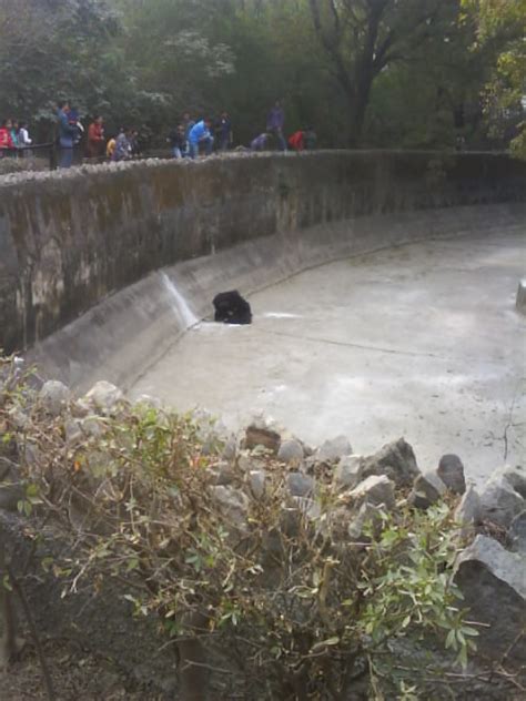 Joys Of Blogging A Visit To Delhi Zoo Aka Chidiyaghar