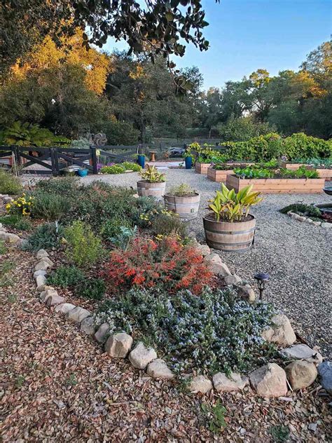 Gopher Resistant Ground Cover How To Get Rid Of Gophers Garden