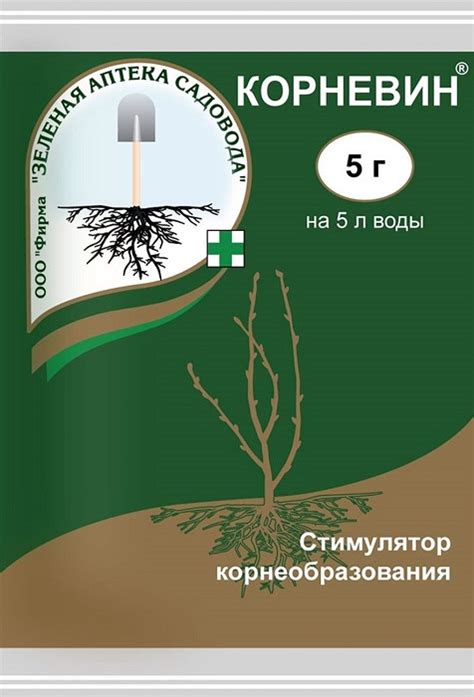 Стимуляторы корнеобразования: как ускорить приживаемость черенков