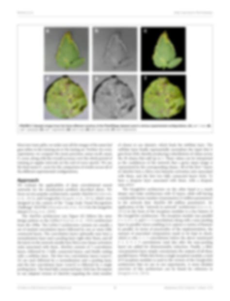 Solution Using Deep Learning For Image Based Plant Disease Detection