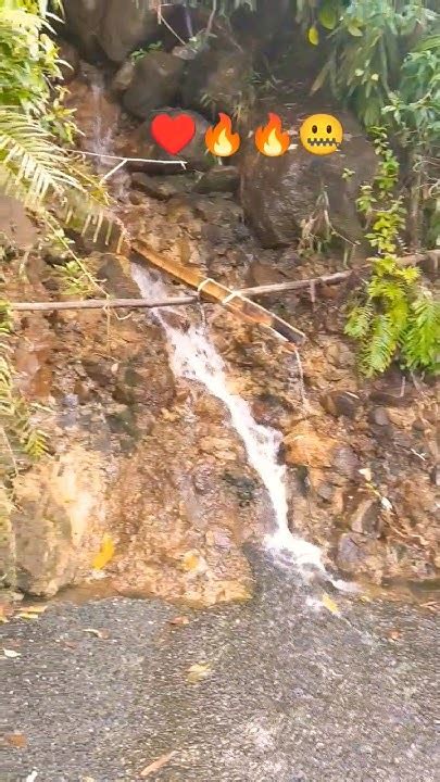 නැදුරන පාරේ නිස්කලංක පරිසරයක්♥️🔥😱 Youtube