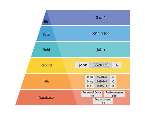 Data Hierarchy Of Bit Byte Field Record File Database 36097861