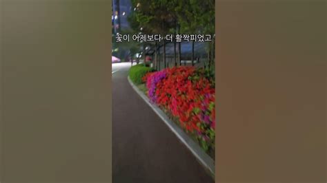 매일오킬로달리기30일차 마라톤 달리기 러너 러닝 운동동기부여 Running Youtube