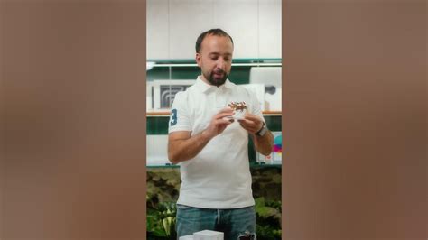 Գնի՛ր Iphone 16 Pro ստացիր նվեր ընդամենը 3 սենյականոց բնակարան փոքր կենտրոնում ։ Youtube