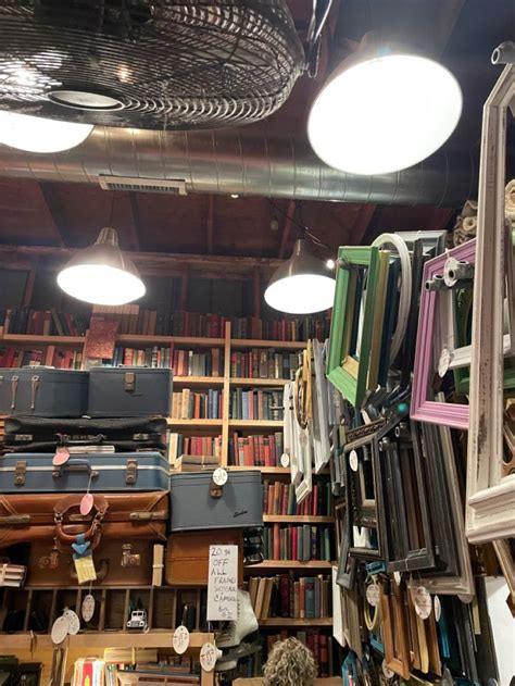 Bookworm 🐛🧶👀 Home Decor Decor Photo Dump