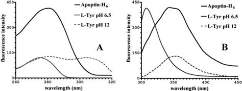 Circular Dichroism Spectra Of Mbp Apoptin And Refolded Apoptin H 6