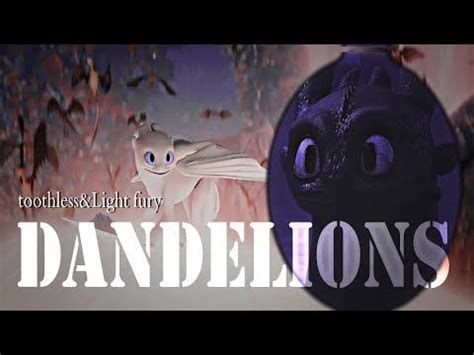Httyd ⇛dandelions Toothless And Light Fury⇨edit Youtube Httyd