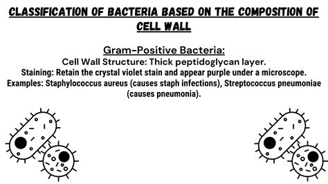 Bacteria What Is Bacteria What Is Bacteria Pdf