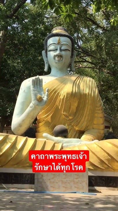 หลวงพ่อฤษีลิงดำ วัดท่าซุง รักษาโรค โชคดี รวย Shorts Short คาถา