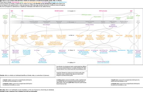 Visualizing Sex As A Spectrum Dr Dicks Sex Advice