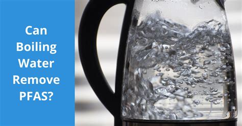 Can Boiling Water Remove Pfas Living Whole