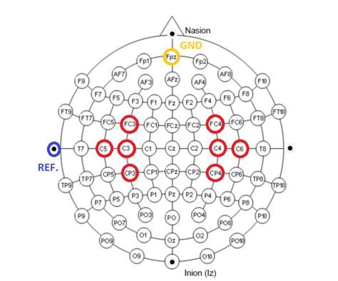 Electrode Location On The 10 20 System Left Side Is Covered By The