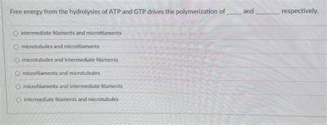 Solved Free Energy From The Hydrolysies Of Atp And Gtp Dr